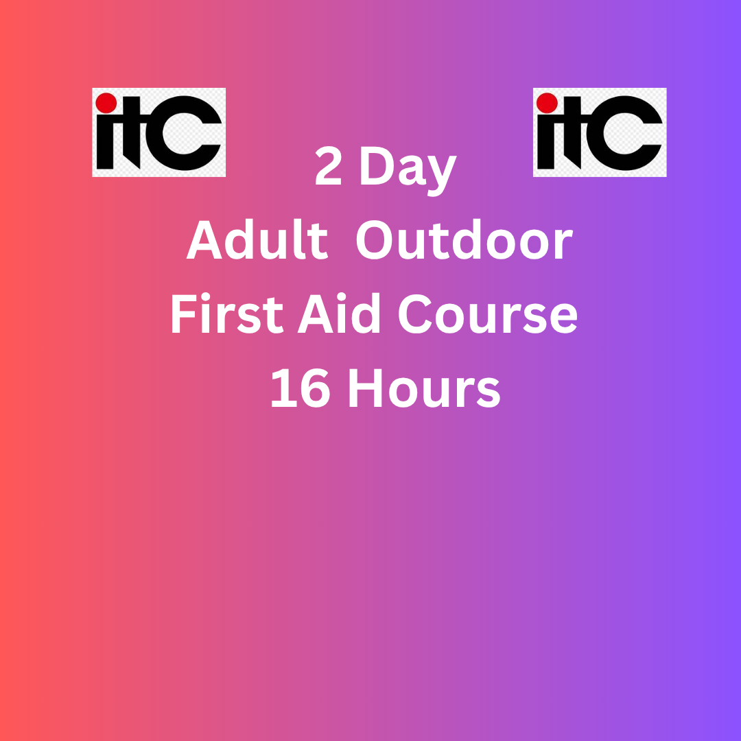 Courses - Purple Dog Training Limited